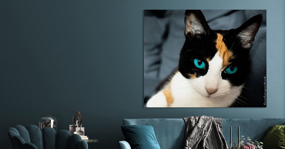 Prints uit de collectie van Daniël van Pienbroek